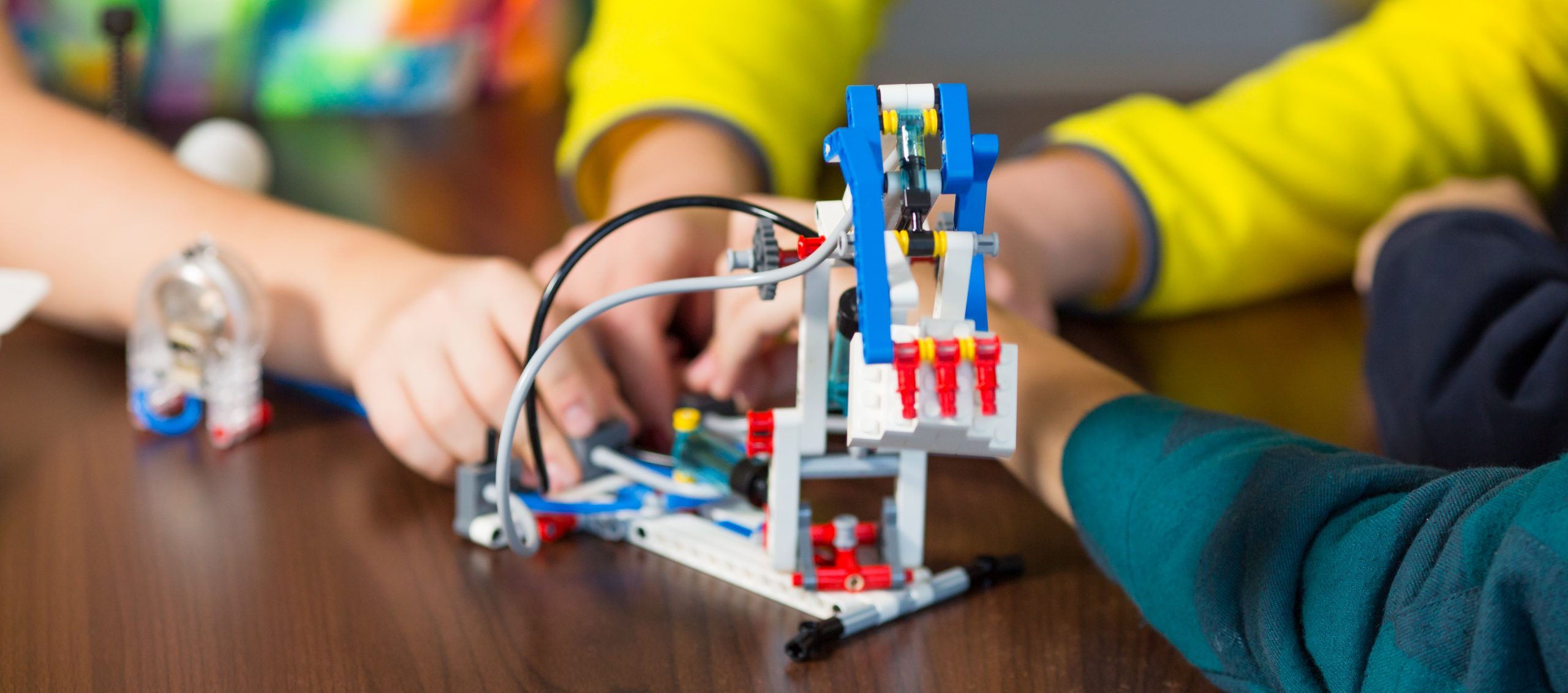 Inicio - Blue Parrot School