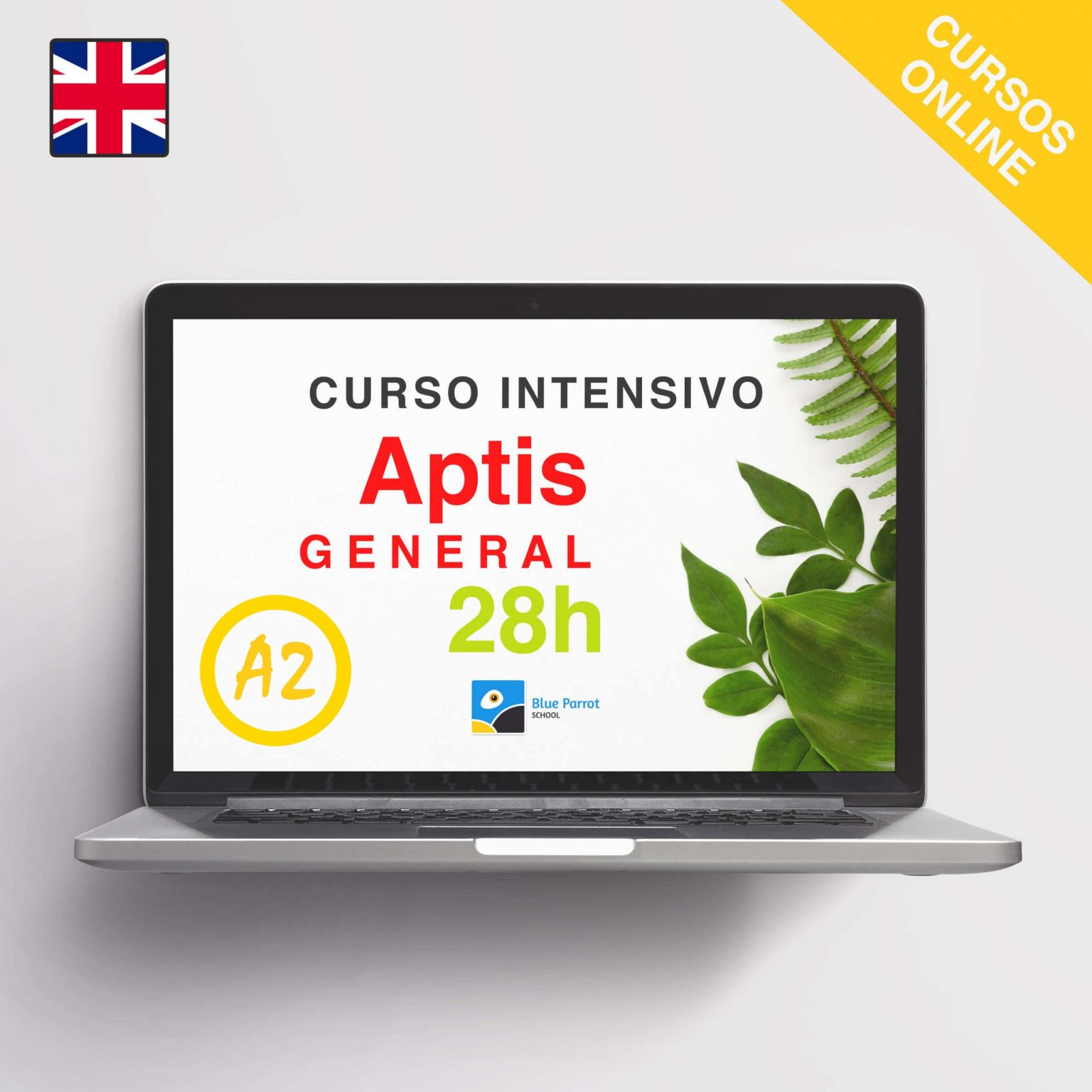 APTIS ESOL A2 Intensivo Online o Presencial 28h PN - Blue Parrot School