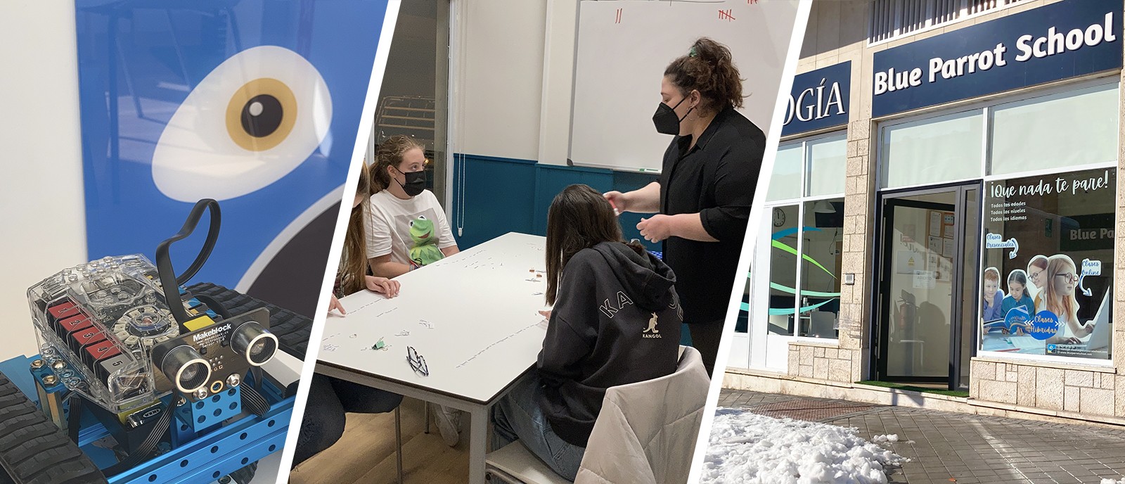 Trabaja con nosotros - Blue Parrot School