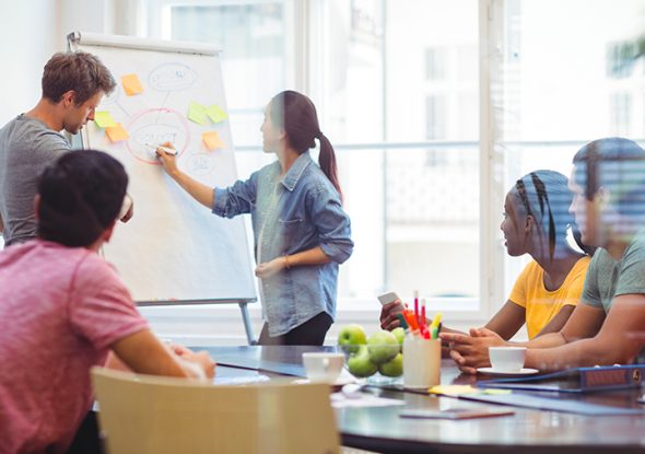 Blue Parrot School - Inicio - Blue Parrot School
