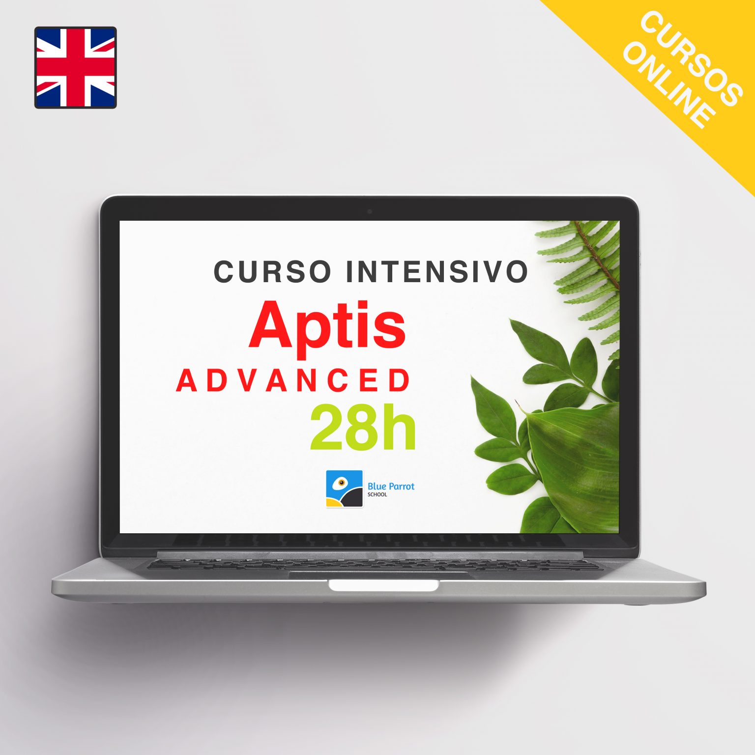 Cómo preparar APTIS Advanced - Blue Parrot School