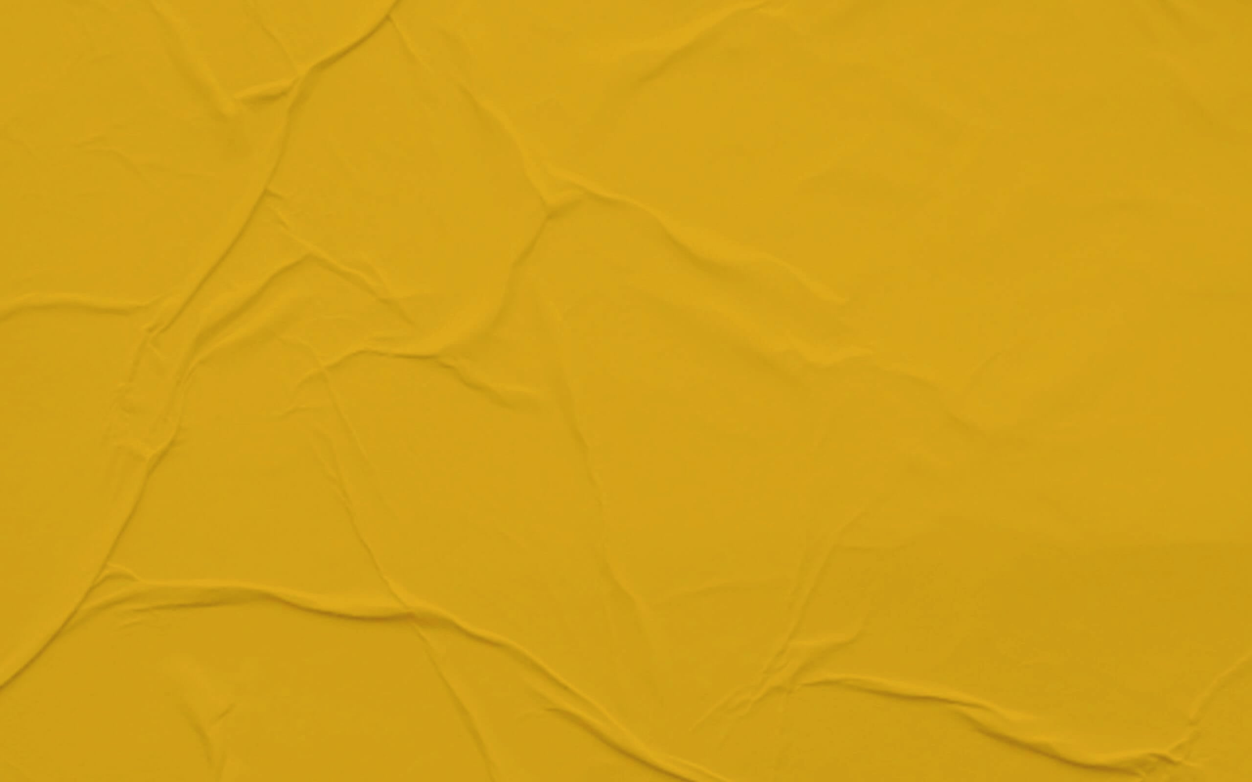 Blue Parrot School – Escuela de Idiomas