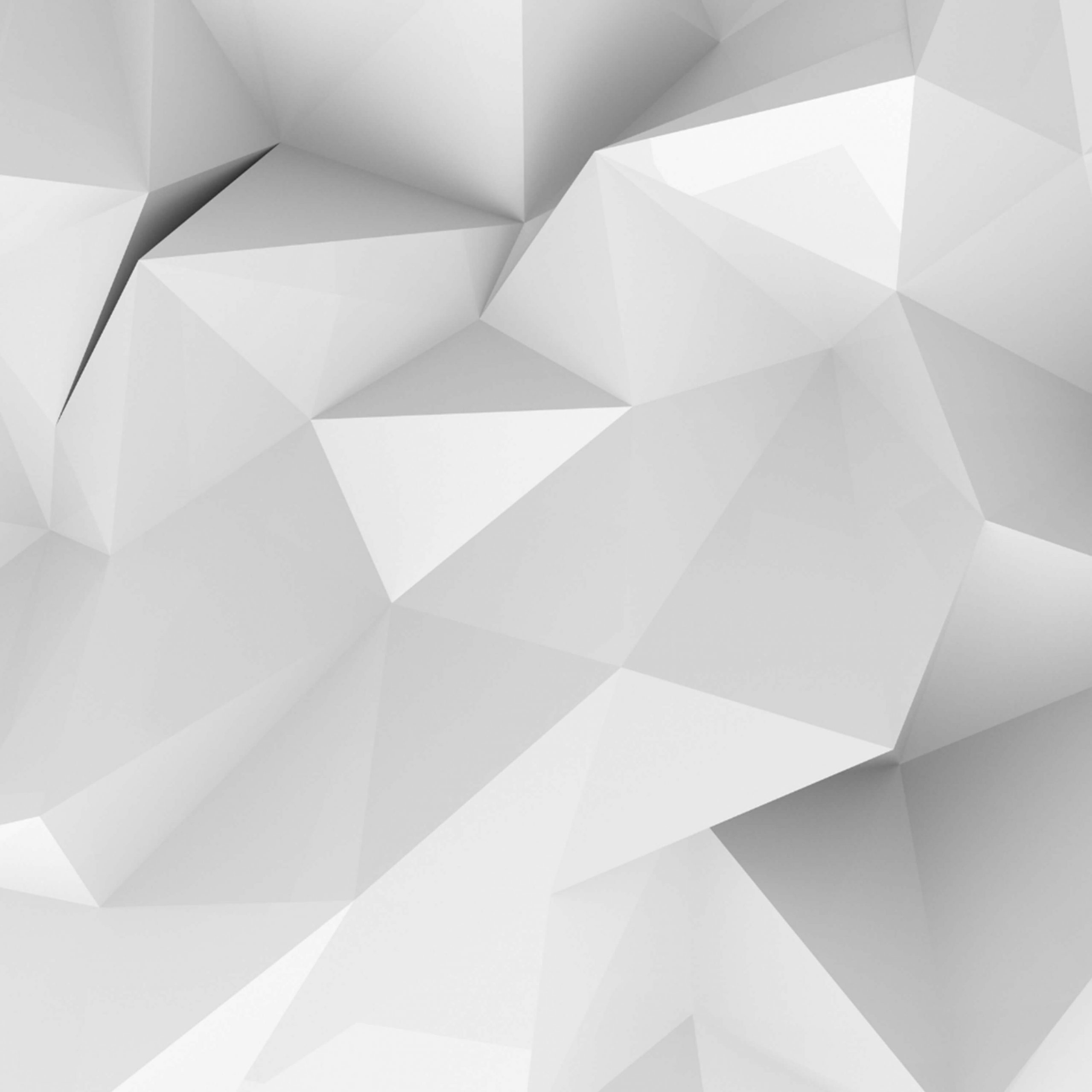 Blue Parrot School – Escuela de Idiomas