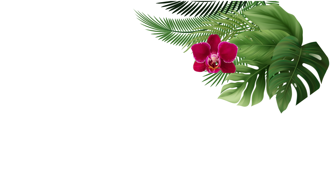 Blue Parrot School - La escuela de idiomas que cambia las reglas