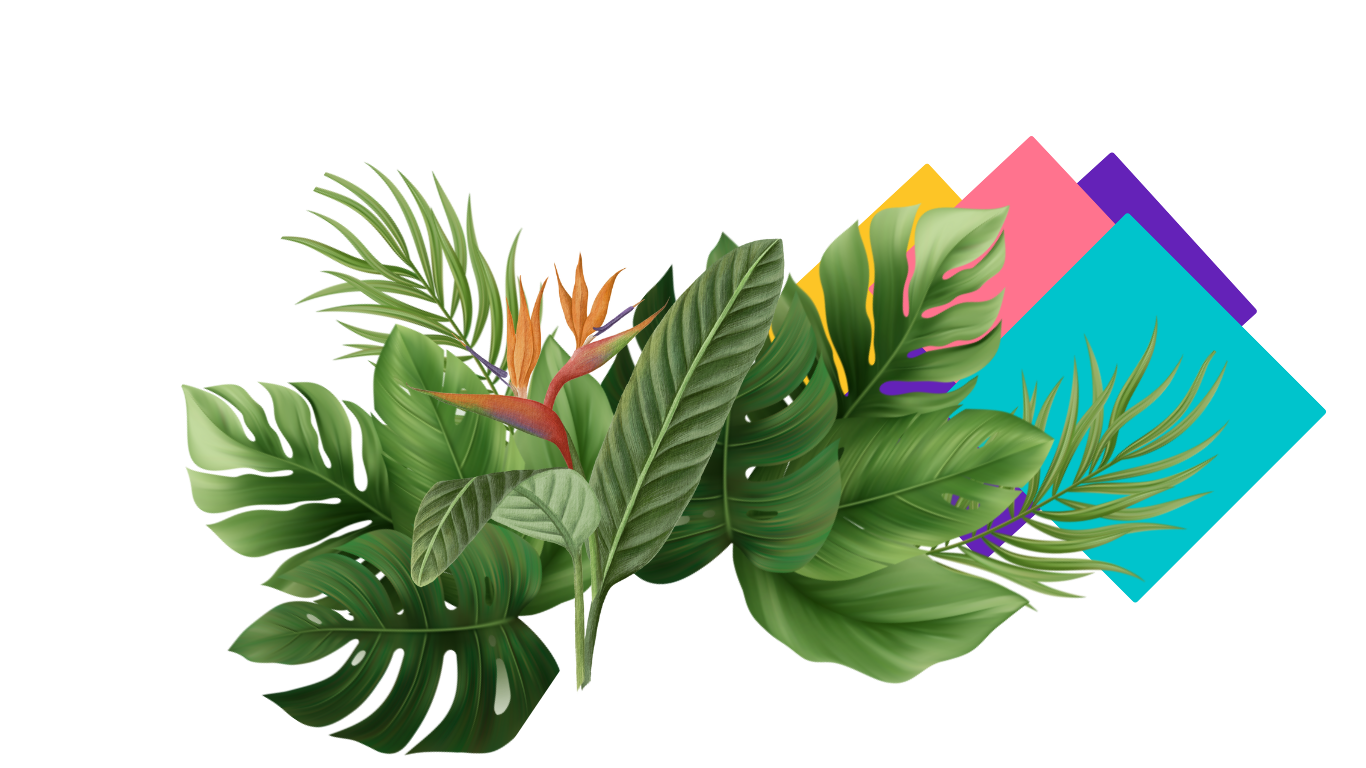 Blue Parrot School - La escuela de idiomas que cambia las reglas