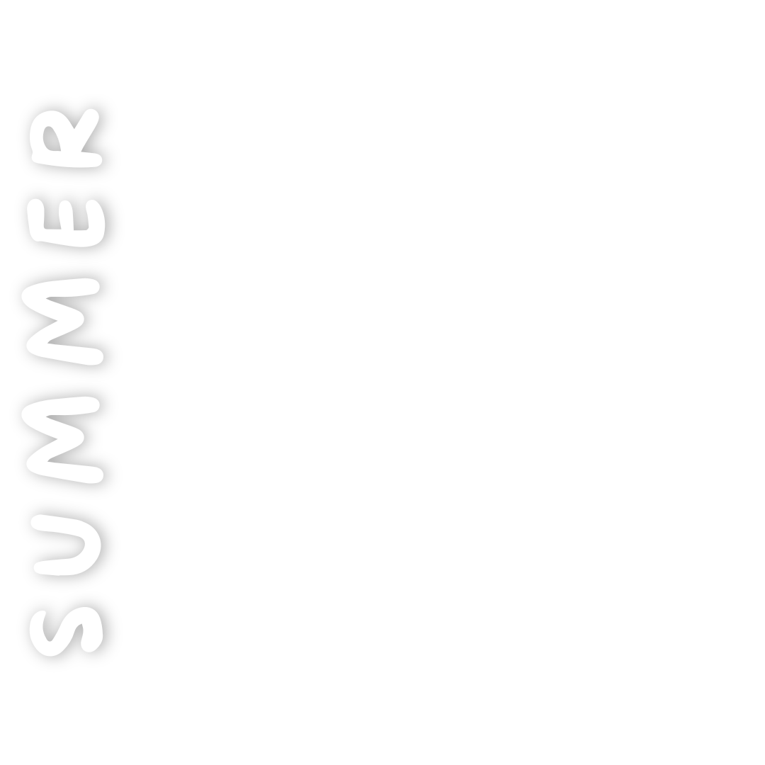 Blue Parrot School – Escuela de Idiomas